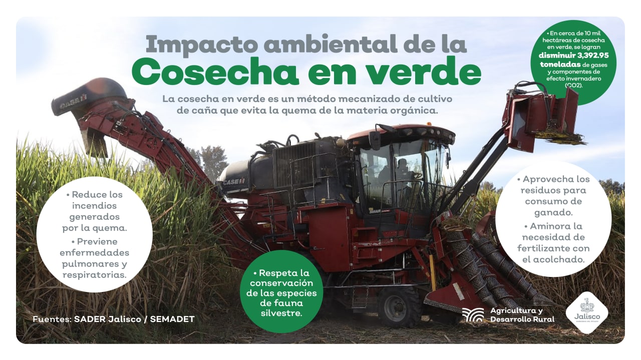 Impacto ambiental de la cosecha en verde | Secretaría de Agricultura y ...